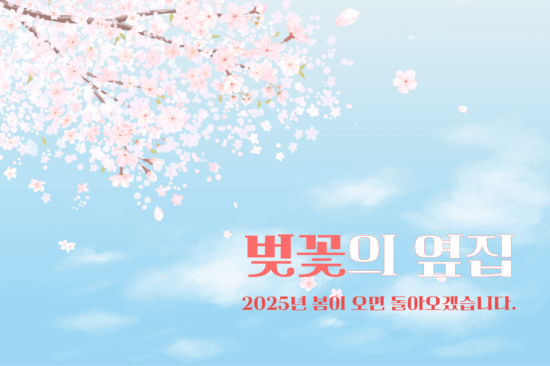 파주 벚꽃 명소 벚꽃의 옆집